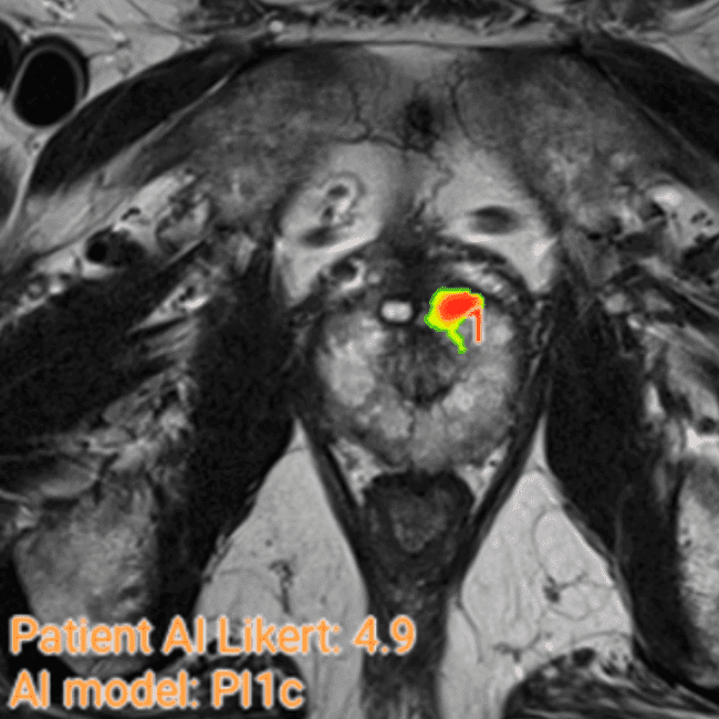 deepcOS - AI portfolio